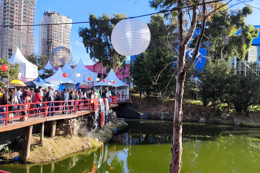 Festa Kasato Maru 2025: Celebre a Tradição Japonesa em Sorocaba - Guia ...